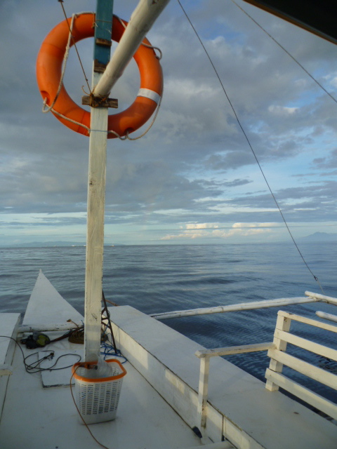 Travel Photo: Dolphin Watching in Bohol